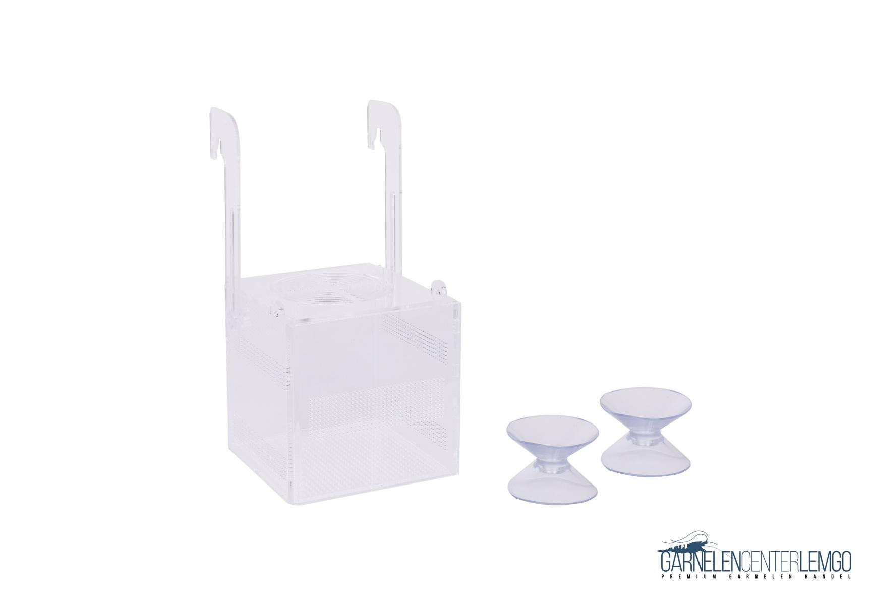 Breeding Boxes | Technics | Garnelencenter Lemgo EN